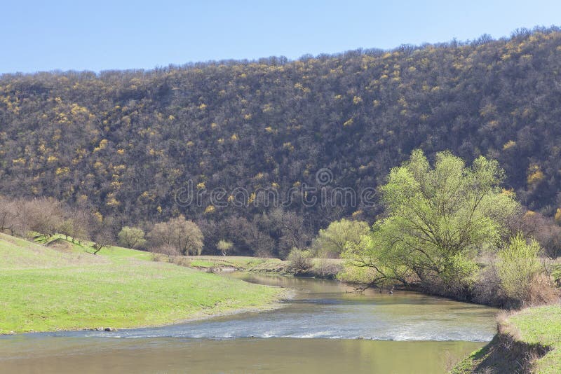 Small mountain river stock image. Image of springtime - 90251515