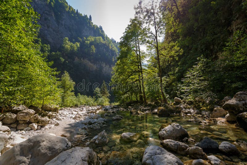 Small Mountain River, Stones, Trees in a Mountain Gorge. Very Beautiful ...
