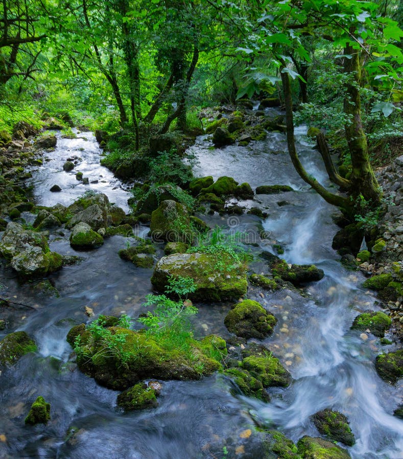 A small mountain river stock image. Image of altai, fresh - 190948359