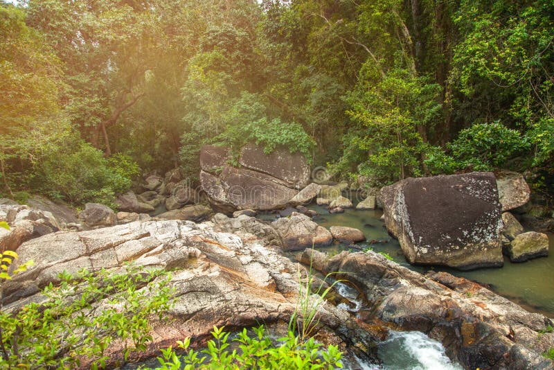 A Small Mountain River in a Tropical Jungle. Beautiful Bright La Stock ...