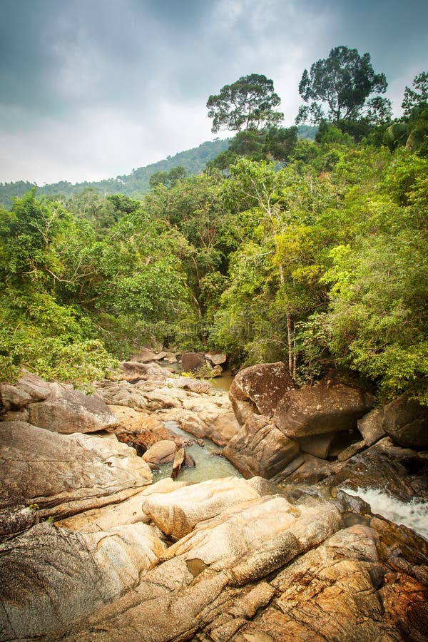 A Small Mountain River in a Tropical Jungle. Beautiful Bright La Stock ...