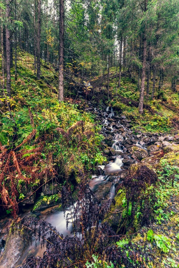 A Small Stream, on Runde Island in Norway Stock Image - Image of ...