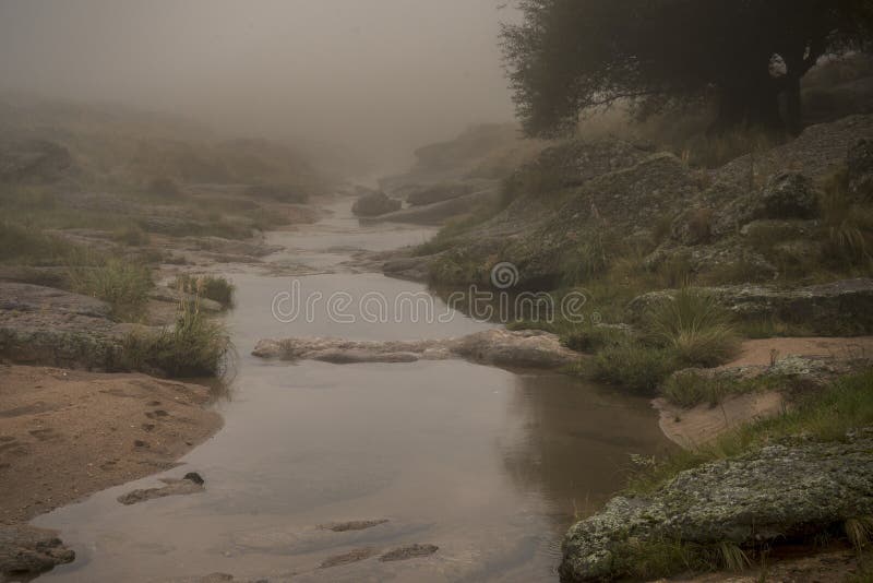 Small Mountain Stream in the Fog Stock Image - Image of migration ...