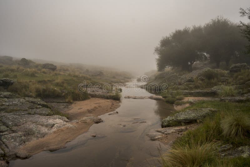Small Mountain Stream in the Fog Stock Image - Image of nature, flying ...