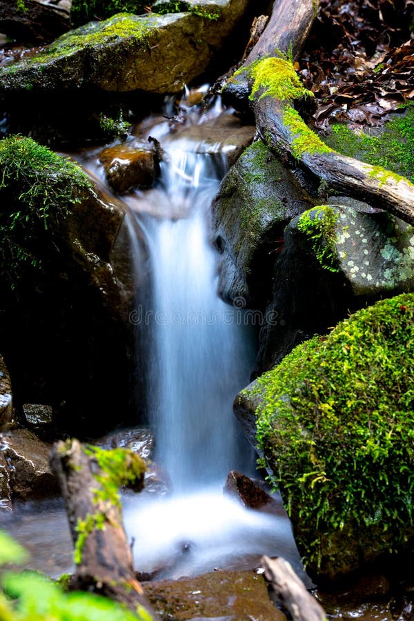 Small mountain stream stock image. Image of landscape - 99641479