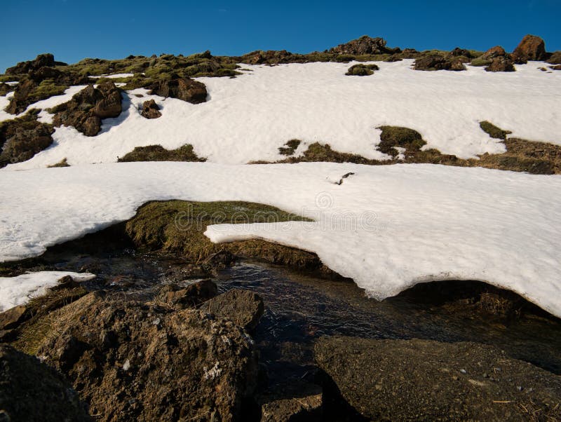 Small Mountain Stream Under a Thin Layer of Snow Stock Image - Image of ...