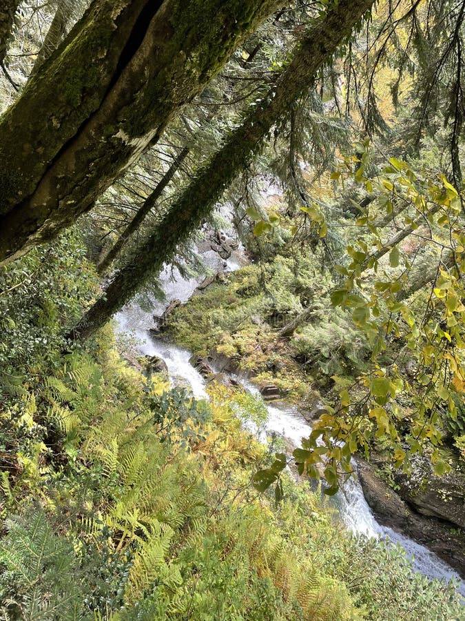 Small Mountain Waterfall Immersed in the Green of the Forest Stock ...