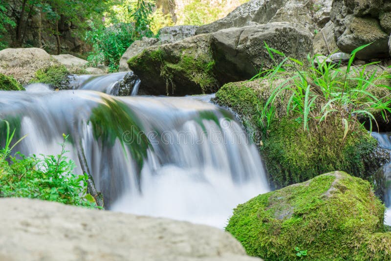 Small Mountain Waterfall on the Rocks Covered with Moss Deep in the ...
