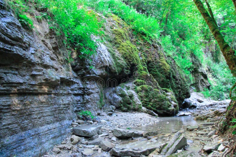 Small mountain waterfall stock photo. Image of mossy - 105599450