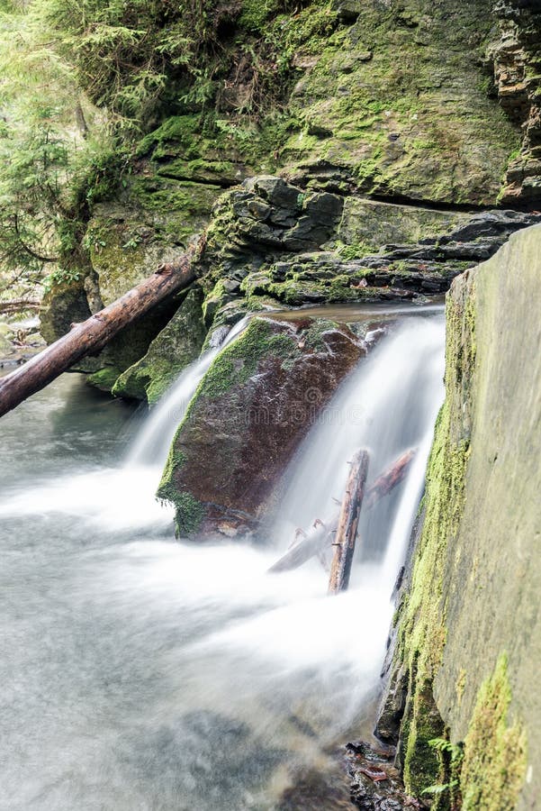Small Mountain Waterfall on the Rocks Covered with Moss in the Forest ...