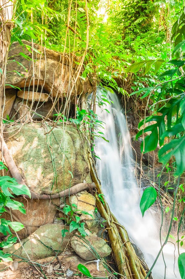 Small Mountain Waterfall in the Tropical Jungle, Selective Focus Stock ...