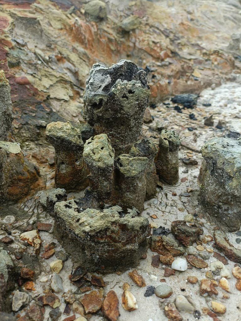 Former Anthill Soil Stock Photos - Free & Royalty-Free Stock Photos ...