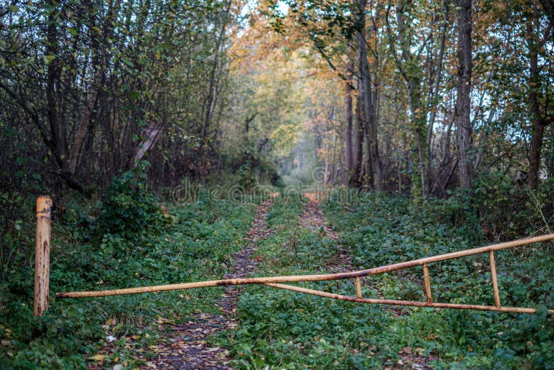 Small Narrow Trail in the Woods Stock Image - Image of walk, seat ...