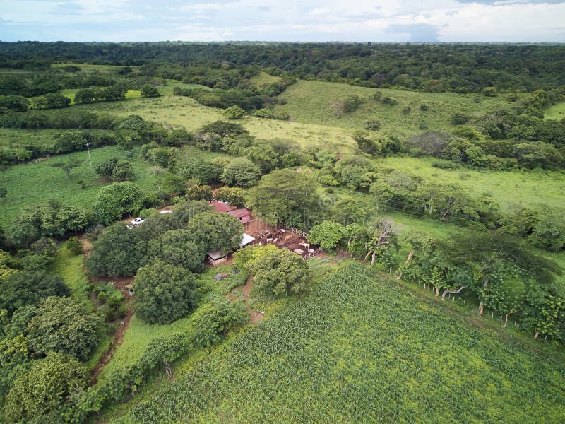 Small natural farm stock image. Image of outdoor, countryside - 175026725