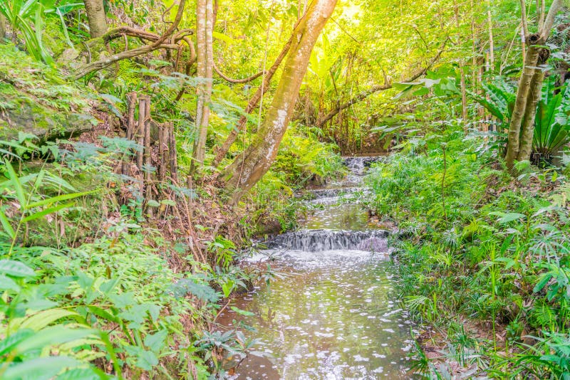 Small Natural Spring Waterfall ( Filtered Image Processed Vintage ...