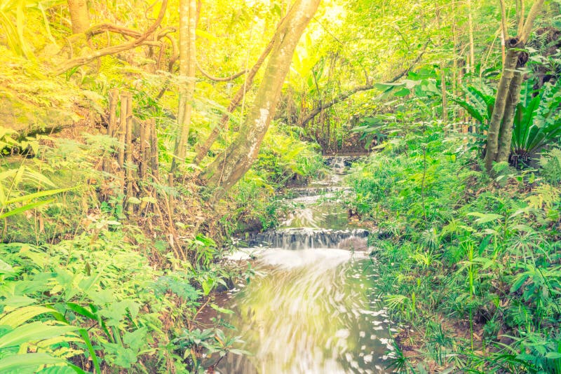 Small Natural Spring Waterfall ( Filtered Image Processed Vintage ...
