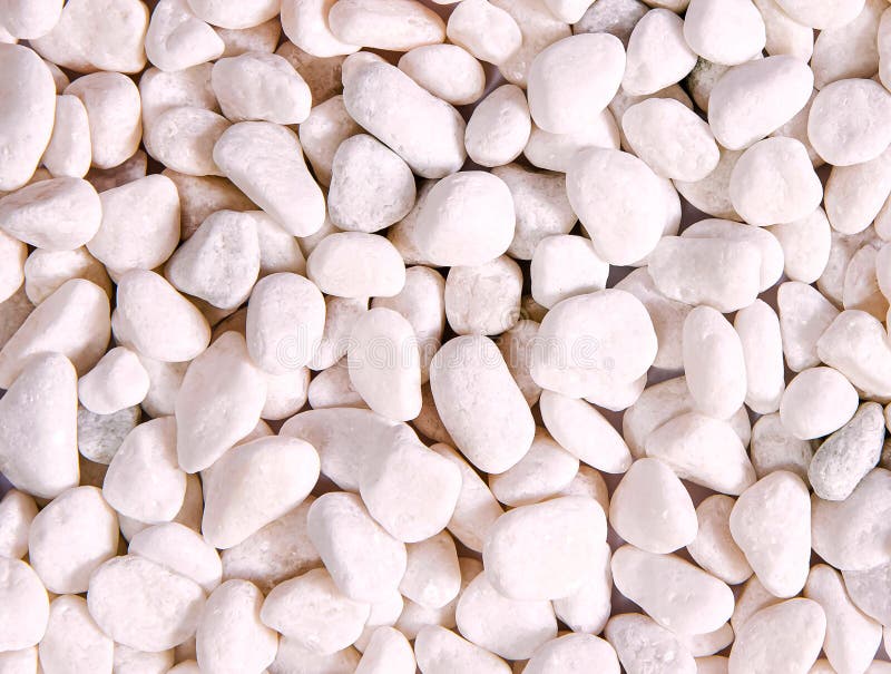 Small Naturally Polished White Rock Pebbles Background Stock Image ...