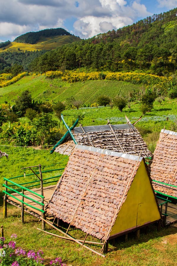 Small nature cottages stock photo. Image of field, beauty - 49768240