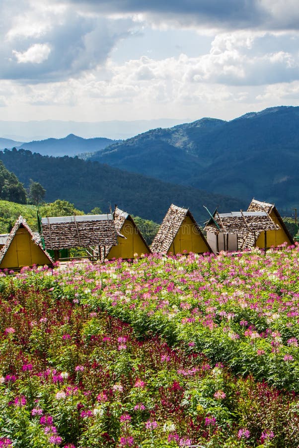 Small nature cottages stock photo. Image of agriculture - 50234586