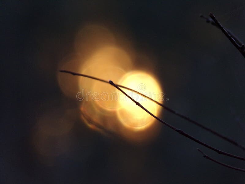 Small Nature : Discreet Sunset Stock Photo - Image of close, bright ...