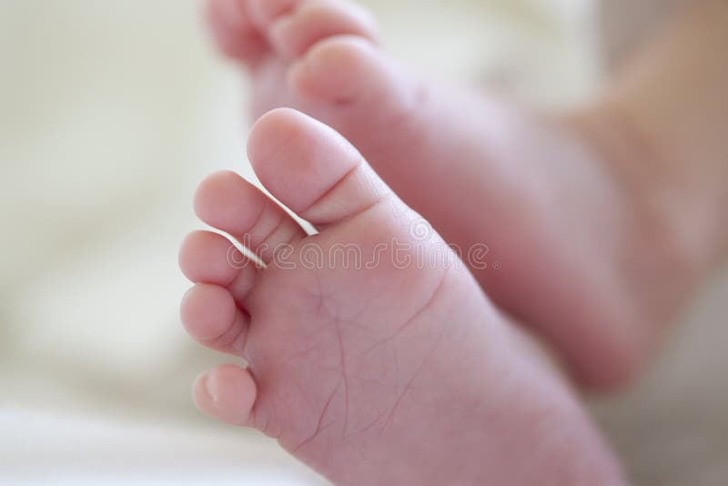 Small Newborn Baby Feet and Toes Stock Photo - Image of months, human ...