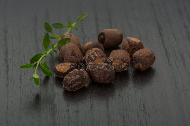 Small Nutmeg Geranium Flowers Stock Photo - Image of geranium, gardens ...