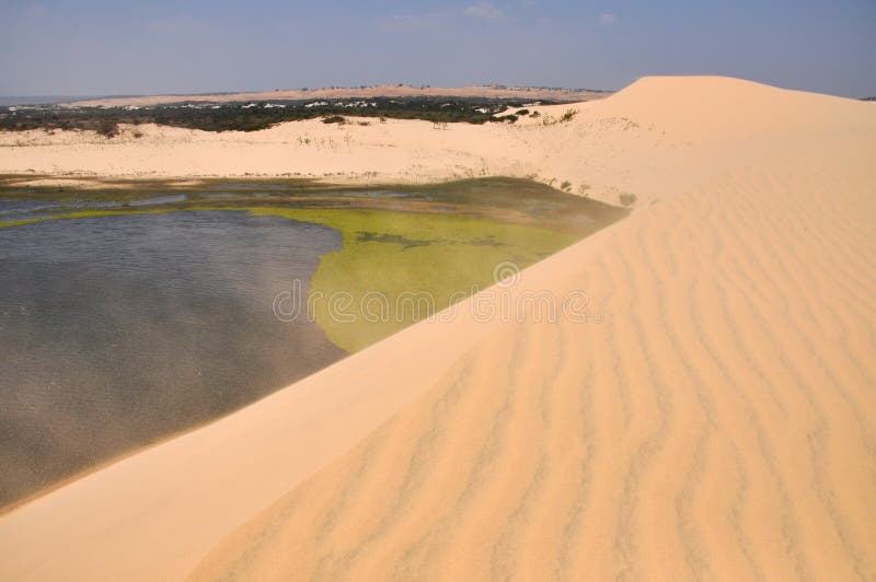 Small oasis in the desert stock photo. Image of ripple - 90142970