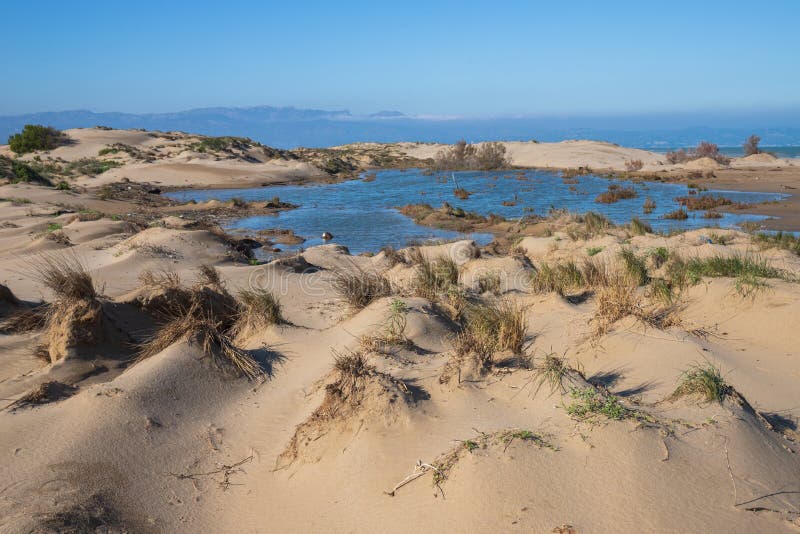 Small Oasis with Dunes and Vegetation Stock Photo - Image of dunes ...