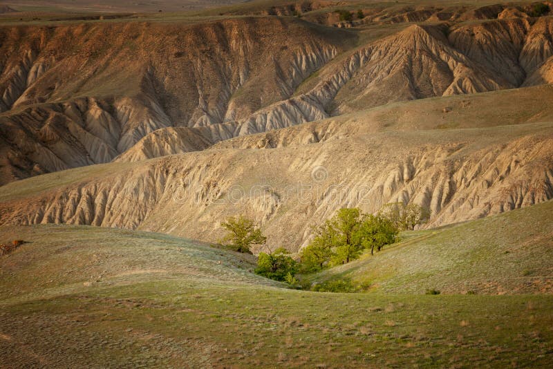 Small Oasis with Trees of Gullies Stock Image - Image of ravine ...