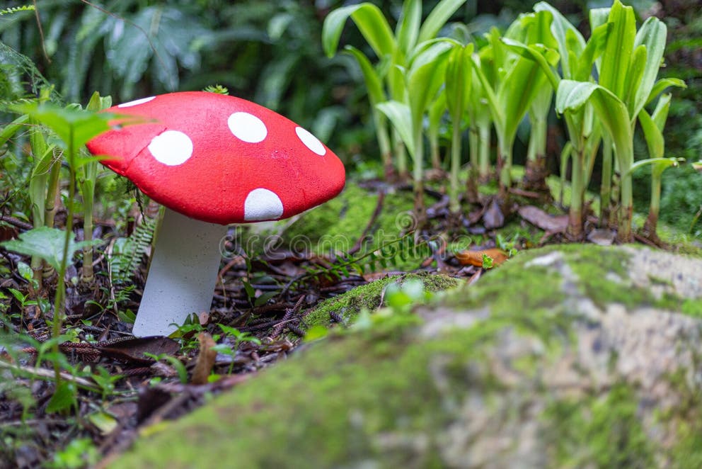 Small Objects Simulating a Mushroom in the Middle of Nature Stock Image ...