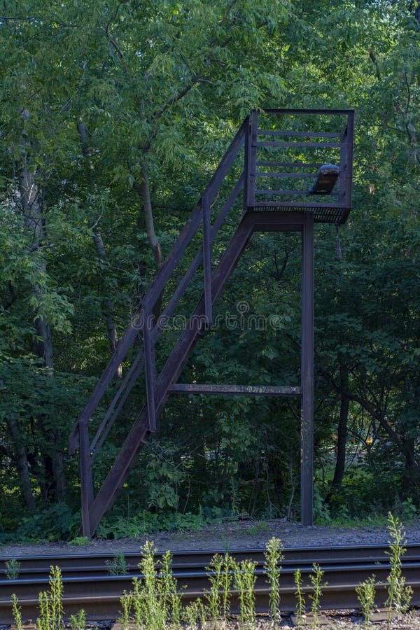 Small Observation Deck Made of Wood in the Middle of the Forest with a ...