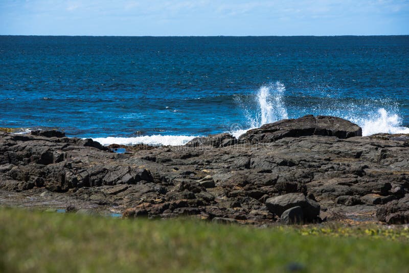 Small Ocean Waves Crash on Rocks with Grass in Foreground Stock Image ...