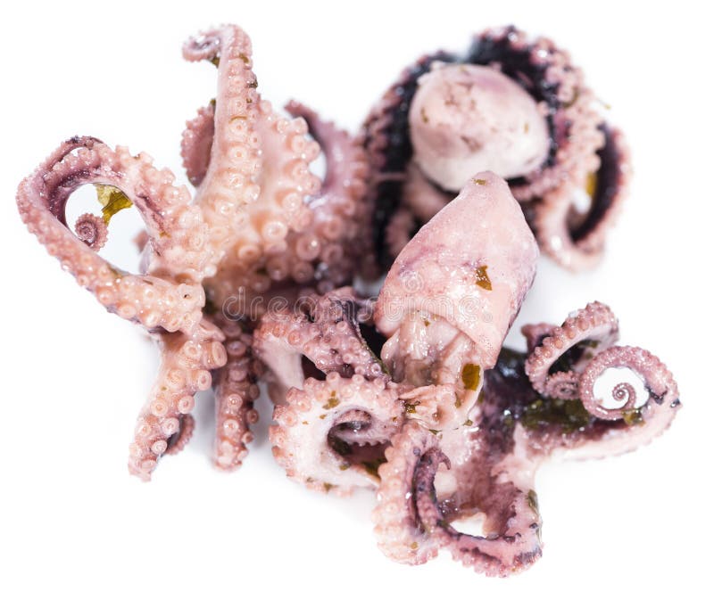 Small Octopus (isolated) stock photo. Image of freshness - 45905386