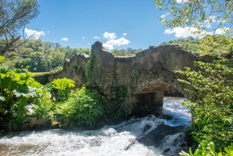 Small Old Bridge with Small Fast Stream Stock Image - Image of tree ...