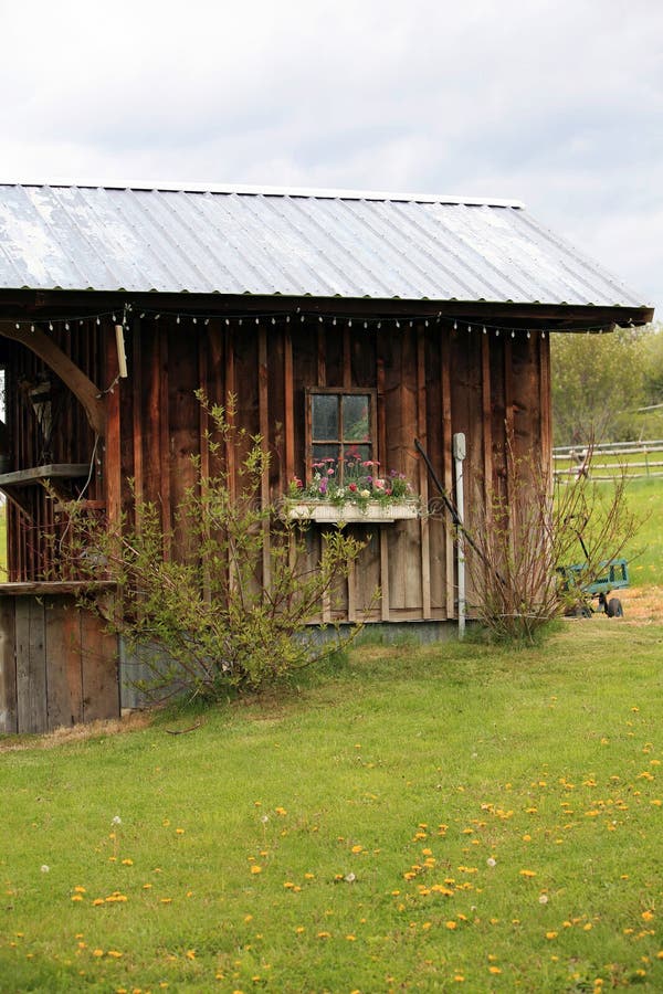 Our House stock photo. Image of flowers, estate, real - 2436106