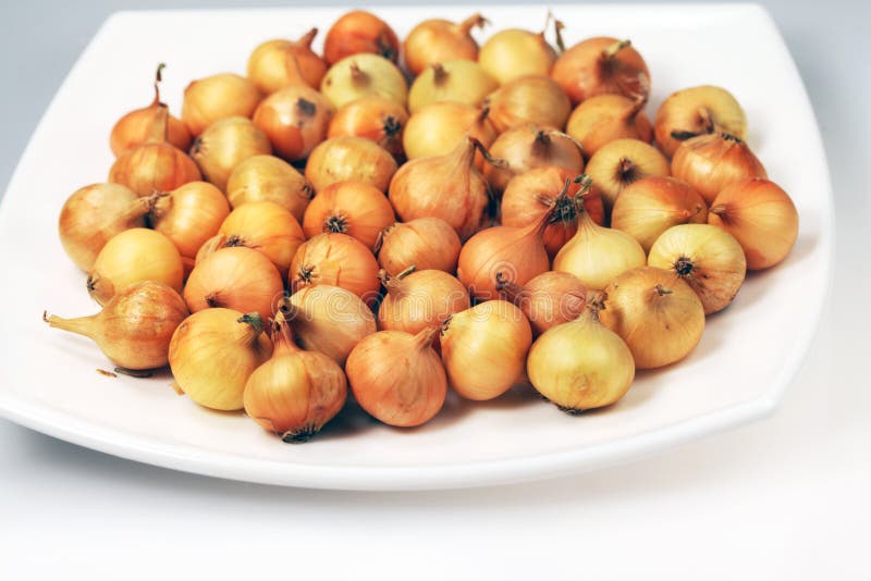 Small onion stock photo. Image of nature, vegetables - 11675520