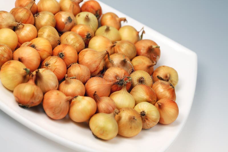 Small onion stock image. Image of food, small, vegetables - 11675727