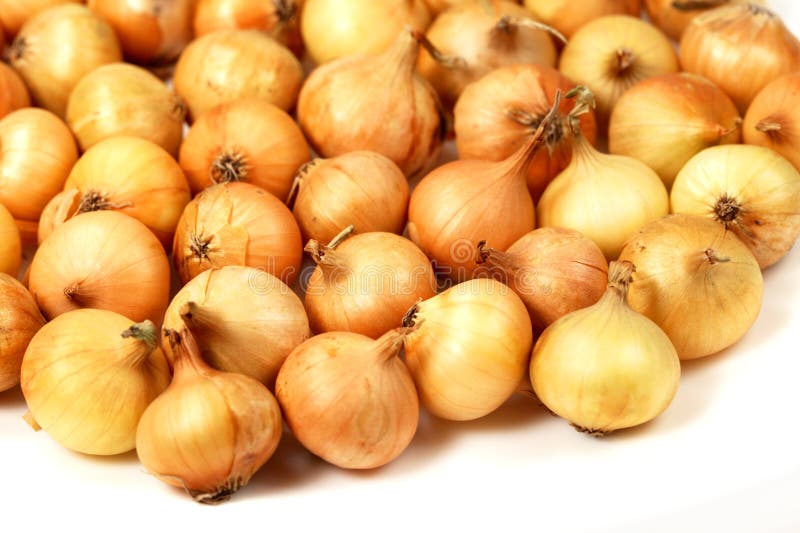 Small onion stock photo. Image of nature, vegetables - 11675520