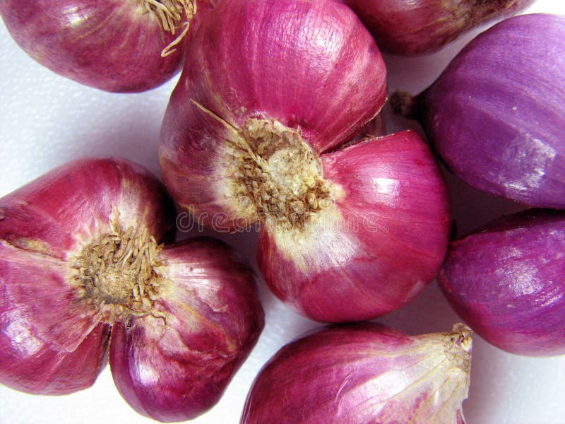 Small Onion stock image. Image of kitchen, onions, shell - 992681