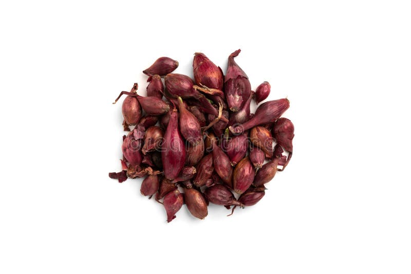 Small Onion Isolated on White Background Stock Photo - Image of coffee ...