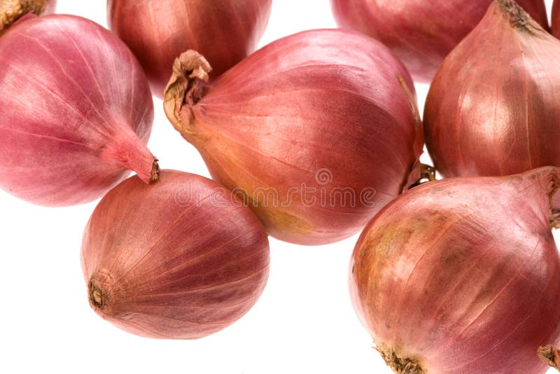 Close up of small onions stock image. Image of close - 58979219