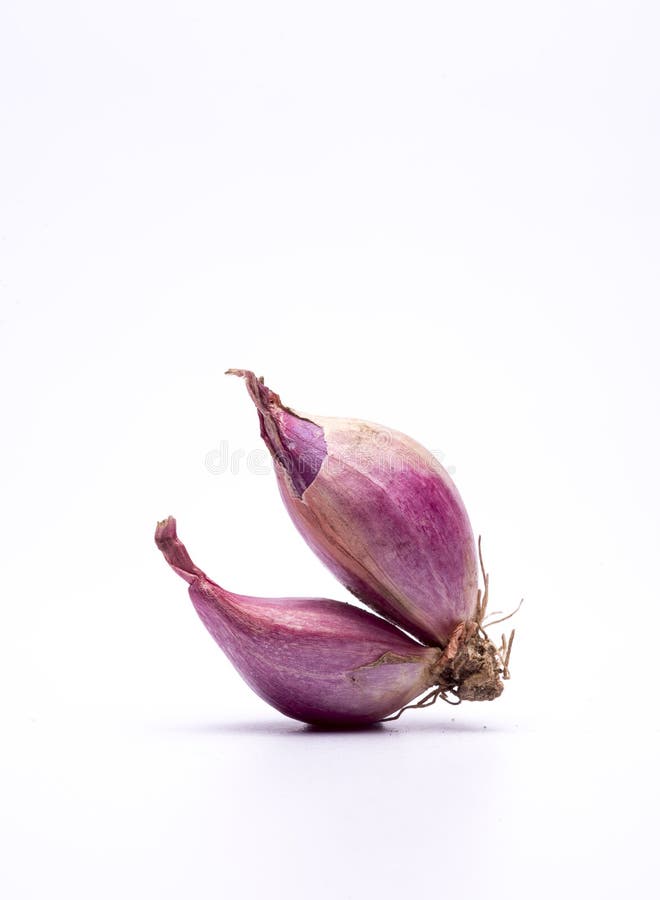 Small Onions Isolated in White Background Stock Photo - Image of ...