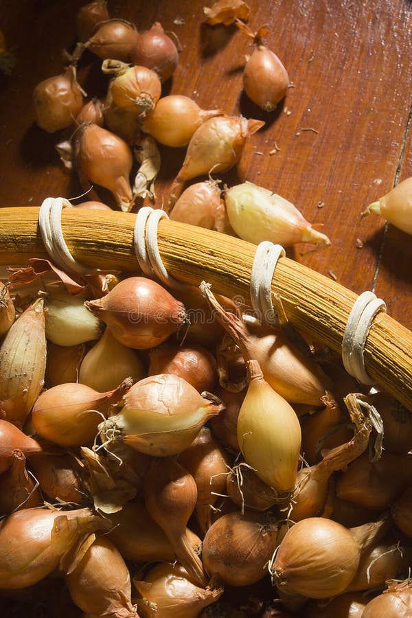 Small onions a lot stock image. Image of healthy, food - 172627153