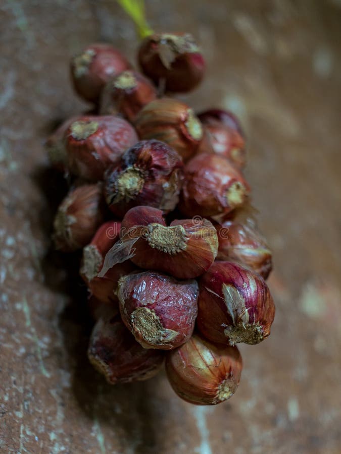 Small Onions Tie Up on Thread Stock Image - Image of vegetables, orange ...