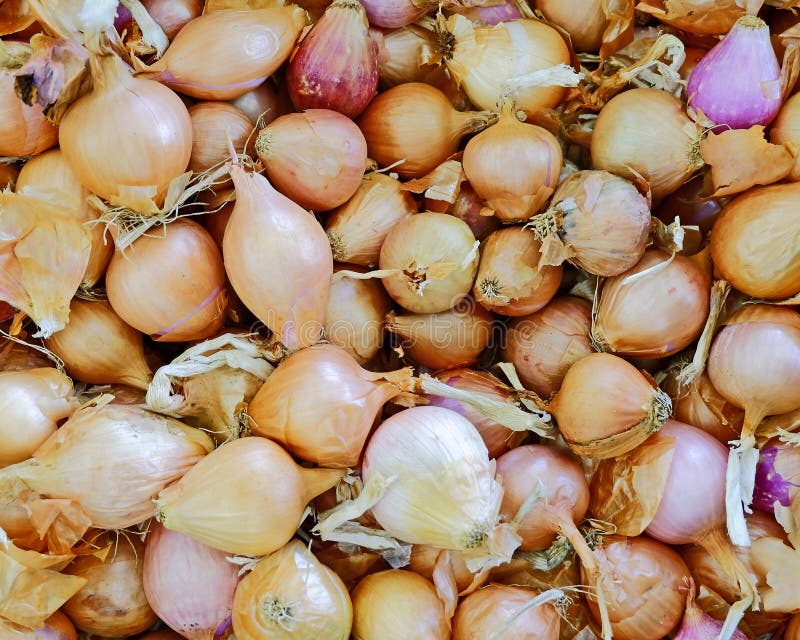 Small Onions Top View, Natural Light Brown Pattern Stock Photo - Image ...
