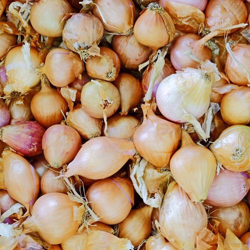 Small Onions Top View, Natural Light Brown Pattern Stock Photo - Image ...