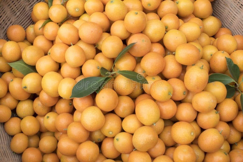 Small orange stock photo. Image of sweet, china, healthy - 74742470