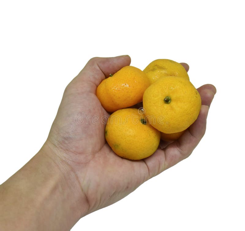 China map stock image. Image of continent, geography - 46185931