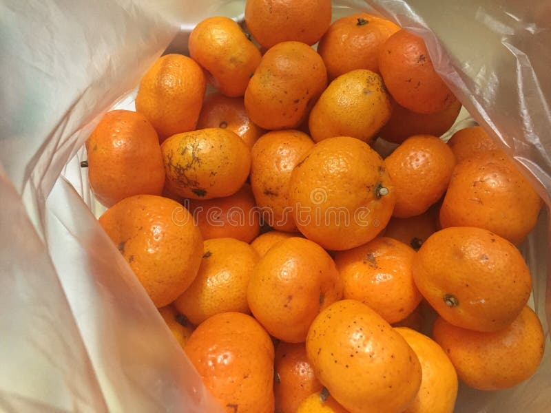 Small Orange stock photo. Image of fruit, orange, food - 87106194