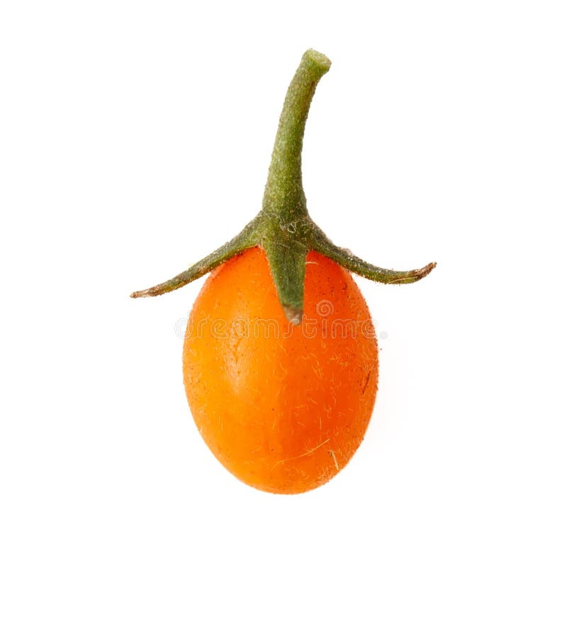 A Small Orange Fruit with a Green Stem Stock Image - Image of closeup ...